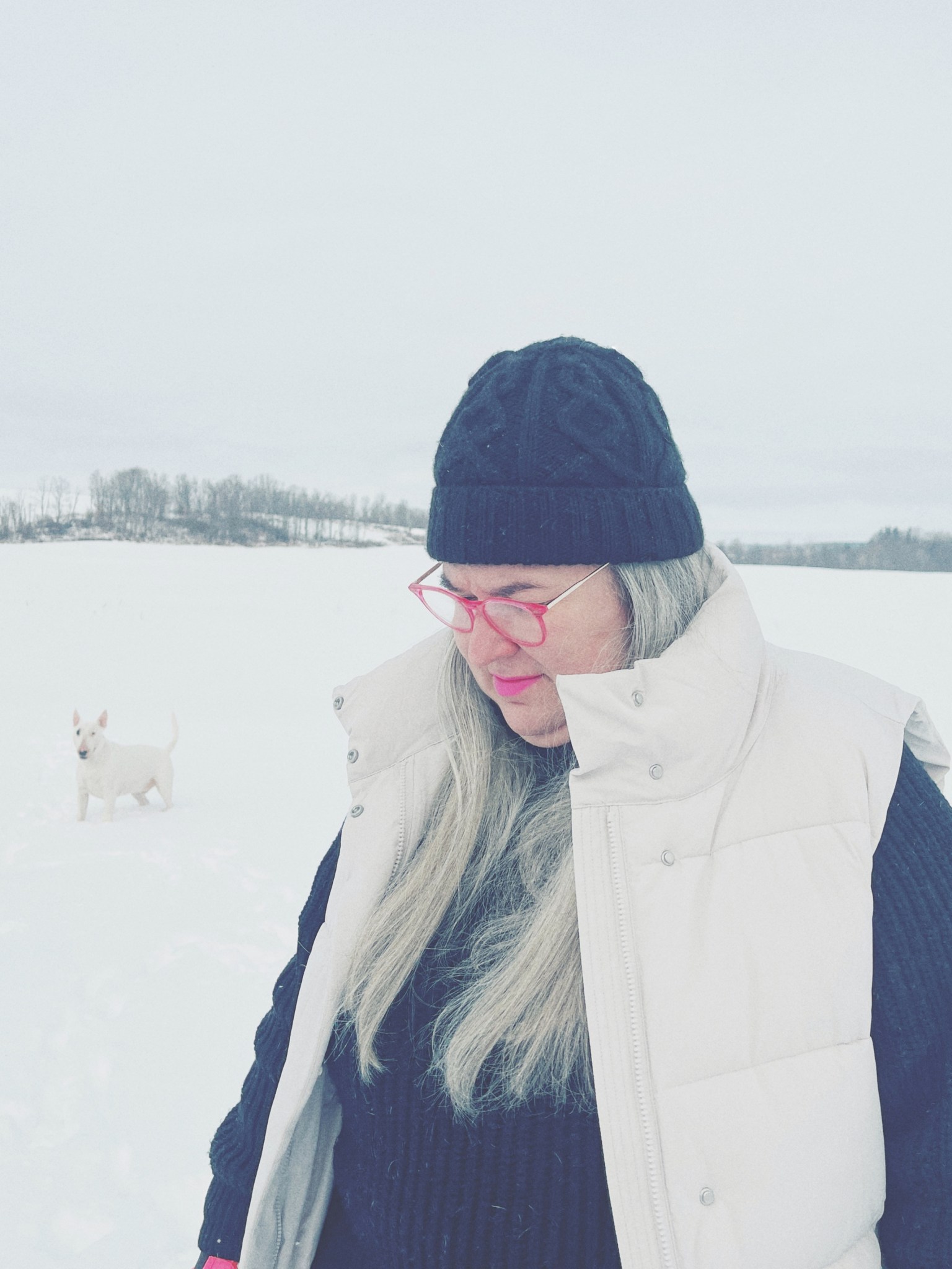 The Land, Life & Art – Jane Holden Art